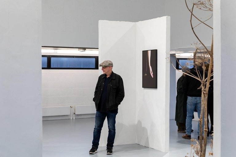 Sophie de Vos - One and the same For Sale at 1stDibs