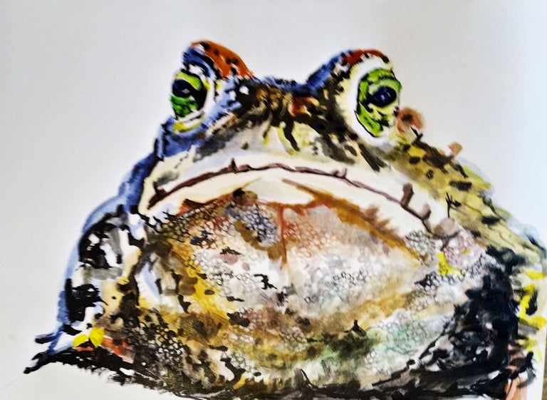Soso Kumsiashvili - Frog, Painting, Acrylic on Paper For Sale at 1stDibs
