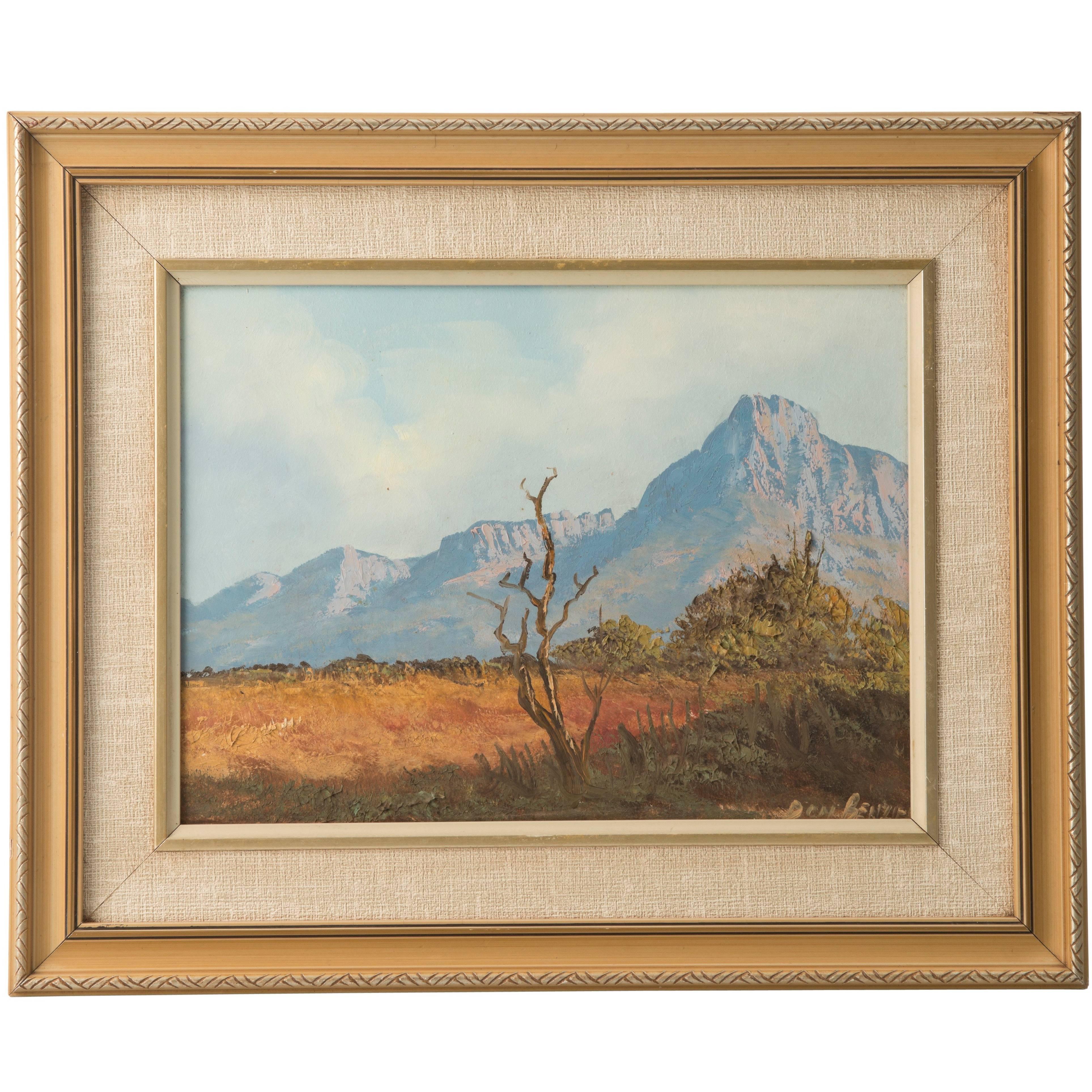 South African Landscape by Don Benzien For Sale at 1stDibs