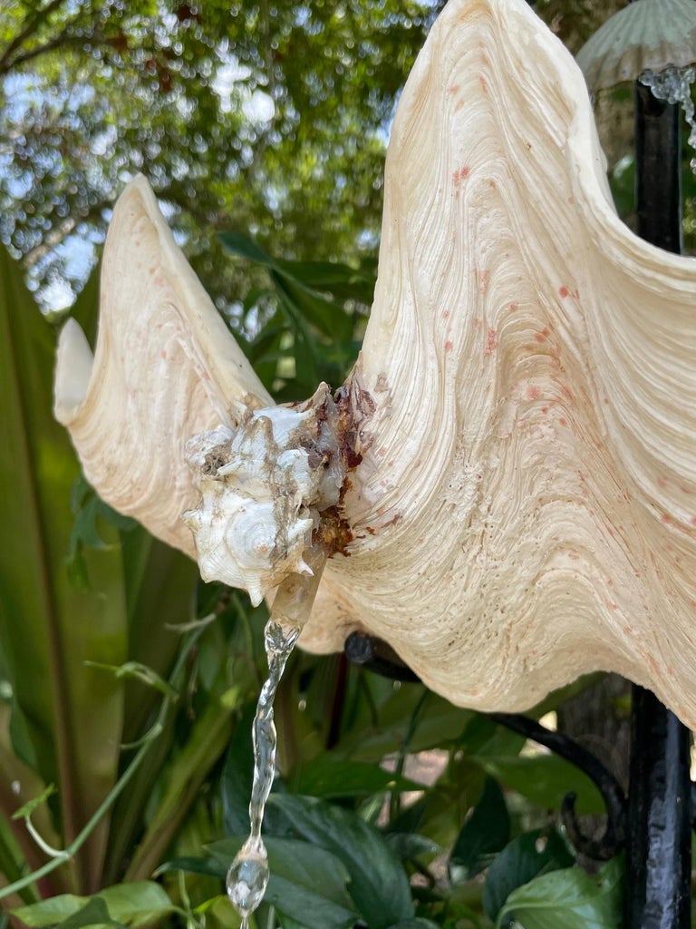 South Pacific Giant Clam Shell Three-Tiered Water Fountain. For Sale at ...