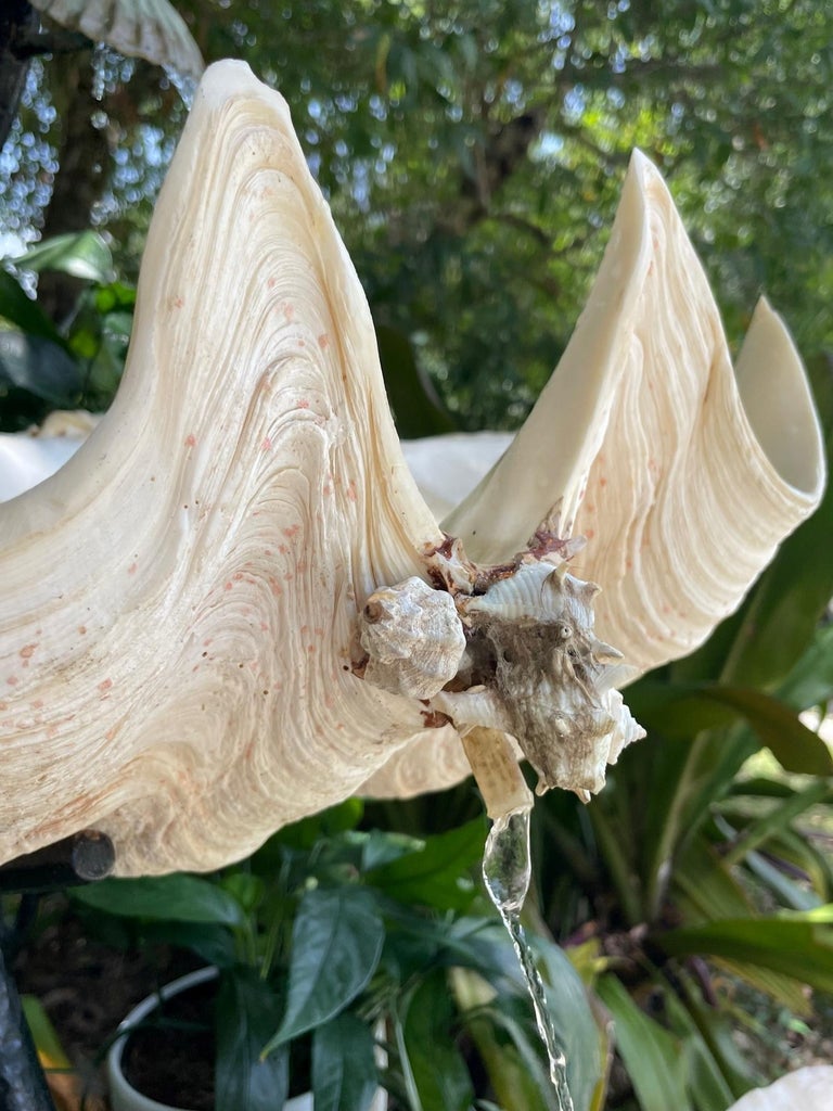 South Pacific Giant Clam Shell Three-Tiered Water Fountain. For Sale at ...