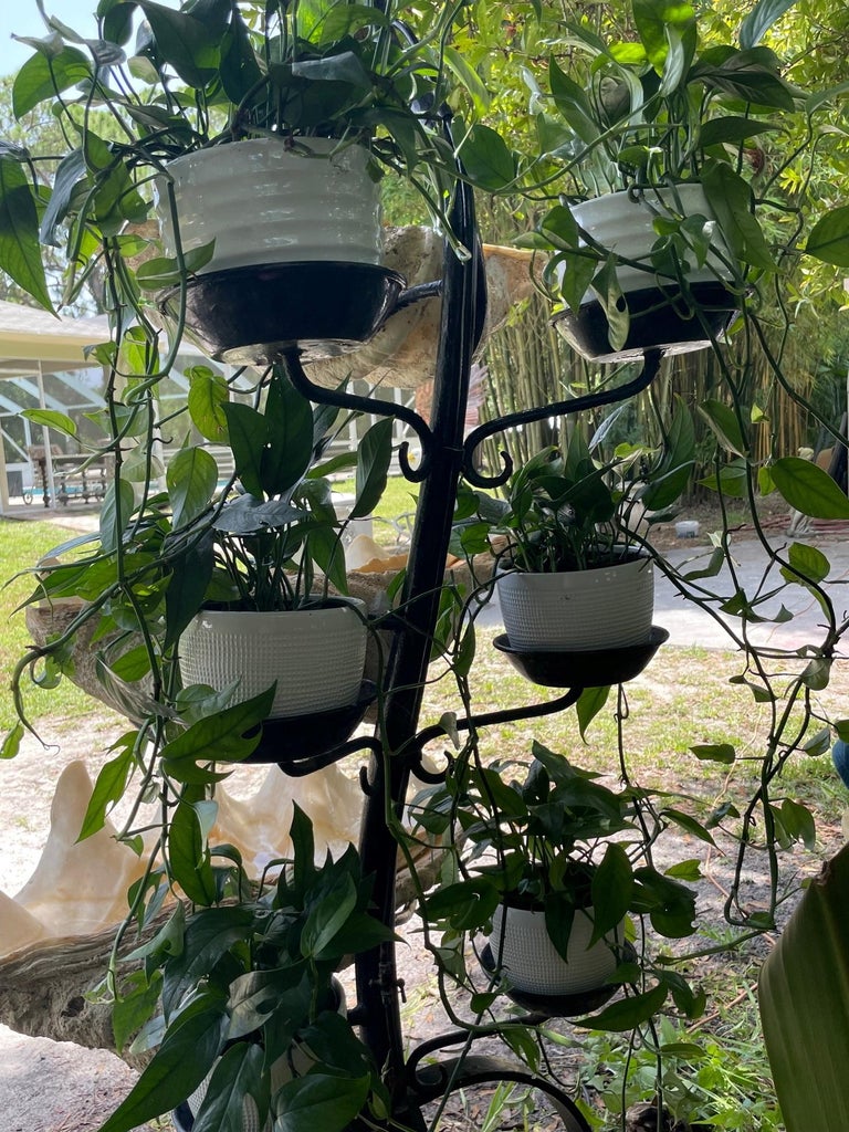 South Pacific Giant Clam Shell Three-Tiered Water Fountain. For Sale at ...