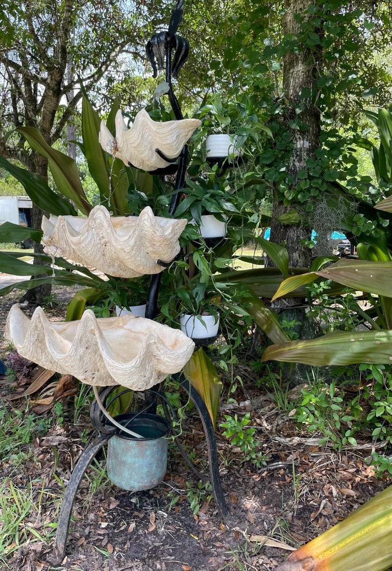 South Pacific Giant Clam Shell Three-Tiered Water Fountain. For Sale at ...
