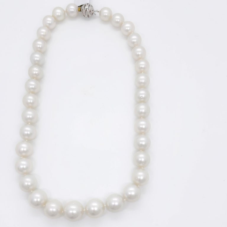South Sea White Pearls with 18k White Gold Clasp For Sale at 1stDibs