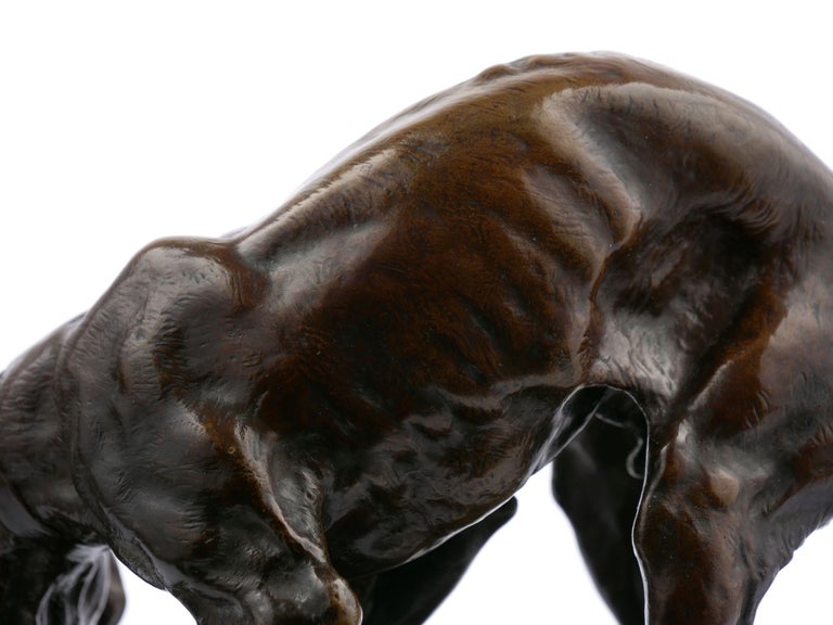 “Spaniel with his Catch” American Western Bronze Sculpture by Alexander ...