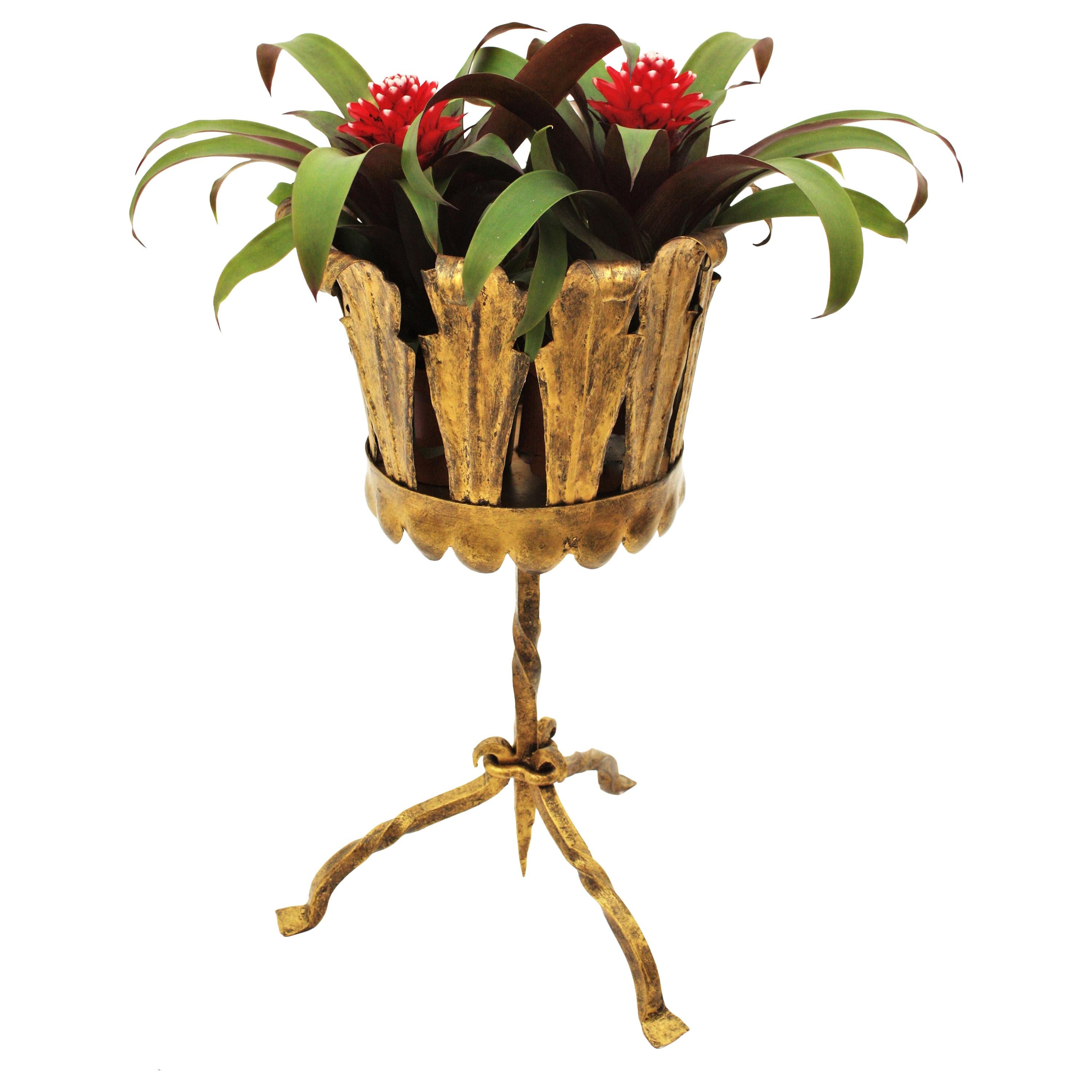 Wrought Iron 6'4"'Climbing Vine' Wall Planter For Sale at 1stDibs