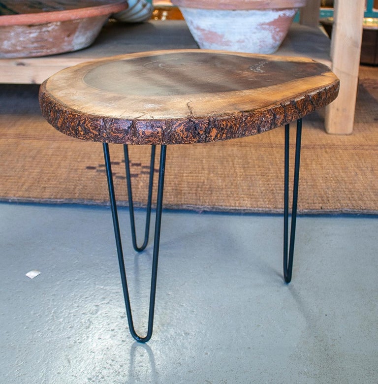 Spanish Natural Sliced Tree Trunk Side Table w/ Iron Legs For Sale at ...