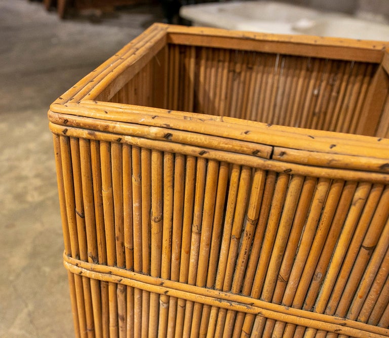 Spanish Pair of Square Bamboo Flowerpots For Sale at 1stDibs