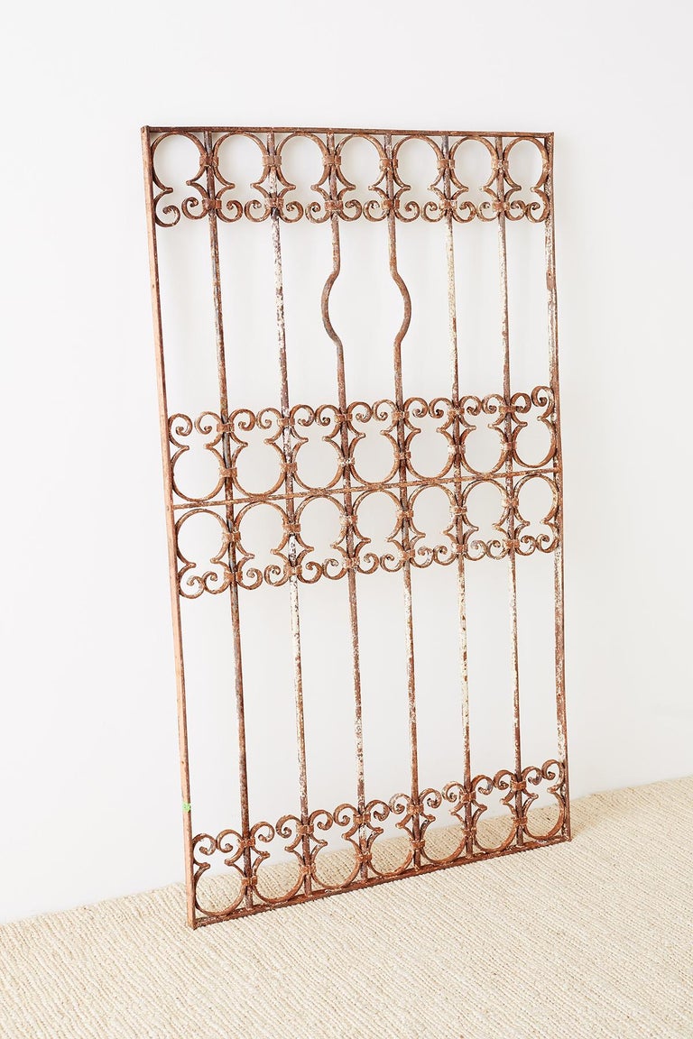 Spanish Wrought Iron Window Grill or Gate For Sale at 1stDibs