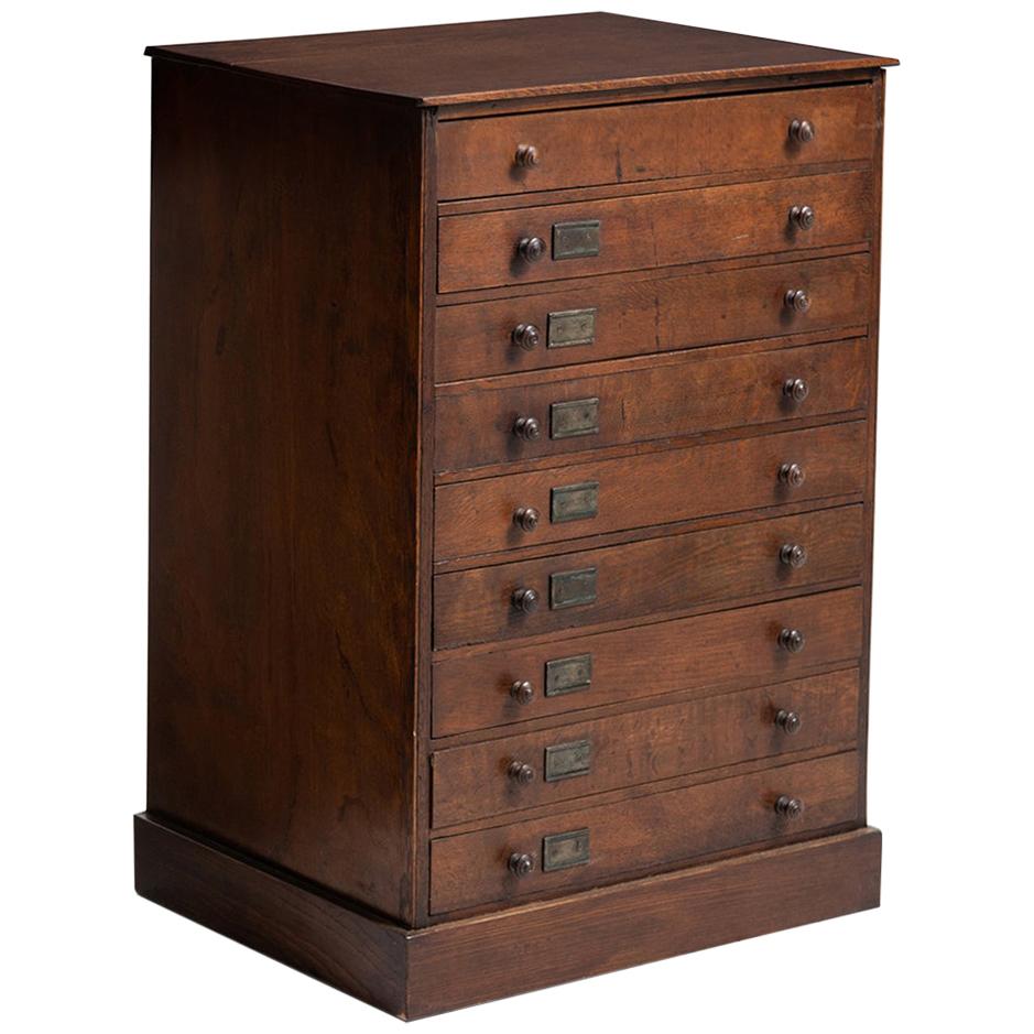 Specimen Drawer at 1stDibs | specimen drawers