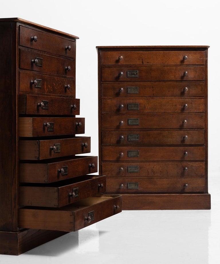 Specimen Drawer at 1stDibs