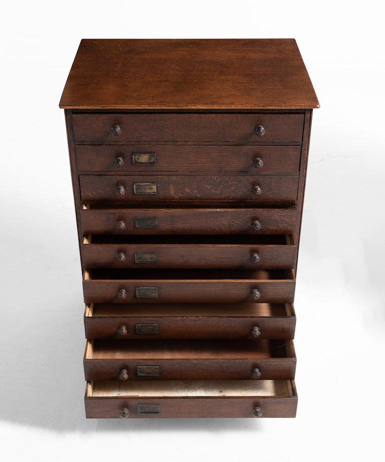 Specimen Drawer at 1stDibs