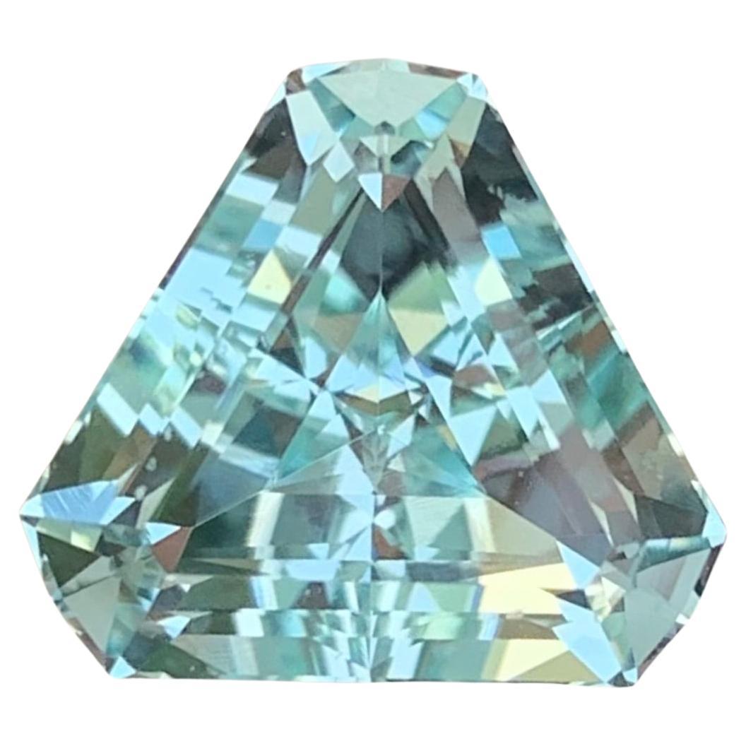 Spectacular 5.60 Carats Natural Loose Pale Blue Aquamarine Trillion Cut ...