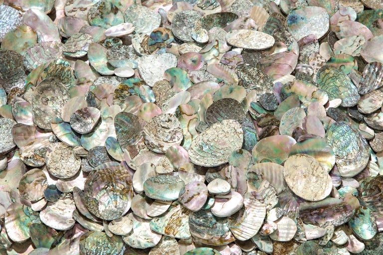 Spectacular Abalone Shell Coffee Table For Sale at 1stDibs