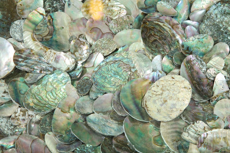 Spectacular Abalone Shell Coffee Table For Sale at 1stDibs