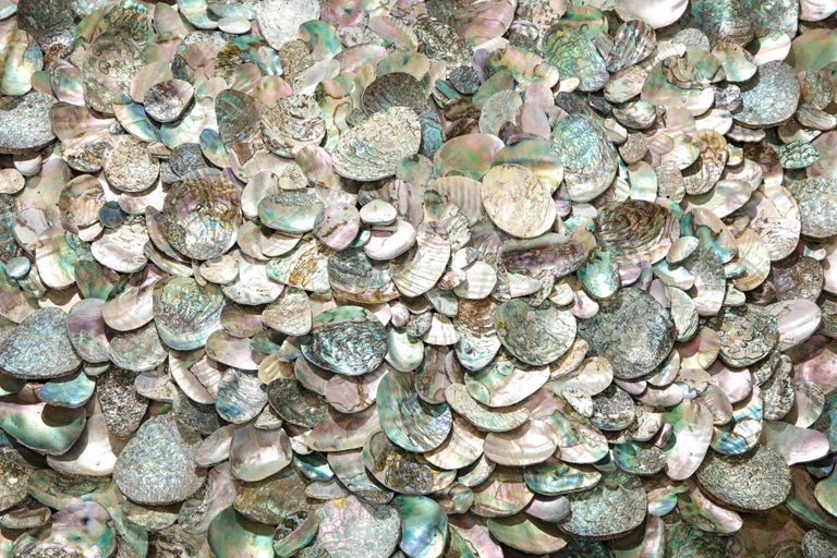 Spectacular Abalone Shell Coffee Table For Sale at 1stDibs