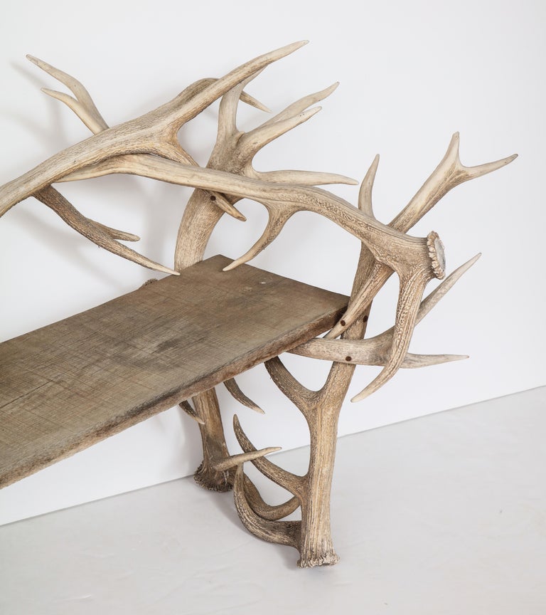 Spectacular Antler Chair or Bench at 1stDibs