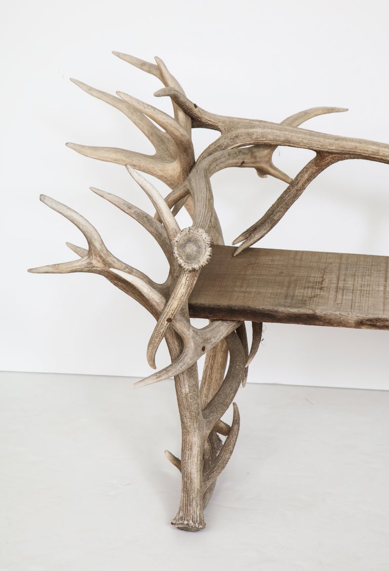 Spectacular Antler Chair or Bench at 1stDibs