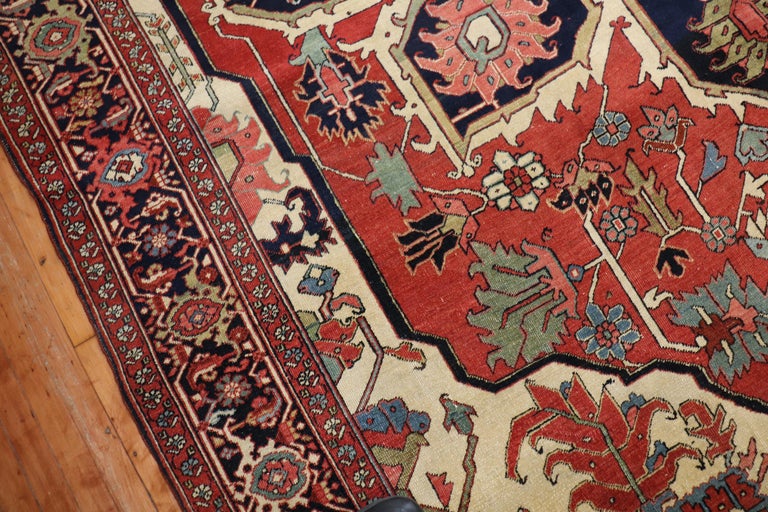 Spectacular Connoisseur Caliber Antique Persian Heriz Serapi Rug For ...