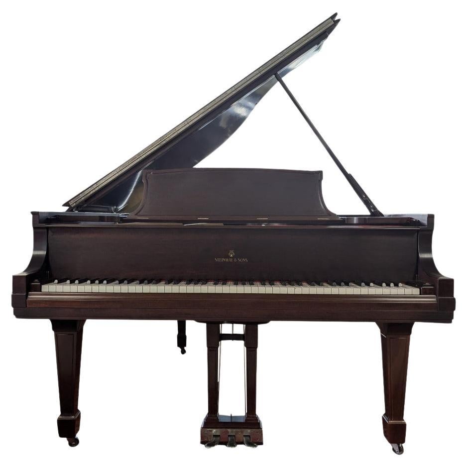 Spectacular Steinway “Model L” Grand Piano, Serial#229976, 5ft10in For ...
