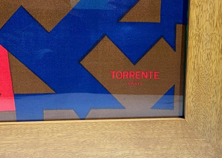 Splendid “TORRENTE” Decorative Framed Silk Scarf from Paris France For ...