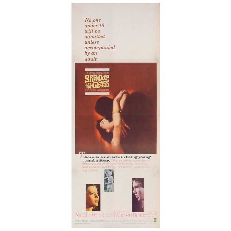 Splendor in the Grass 1961 U.S. Insert Film Poster at 1stDibs