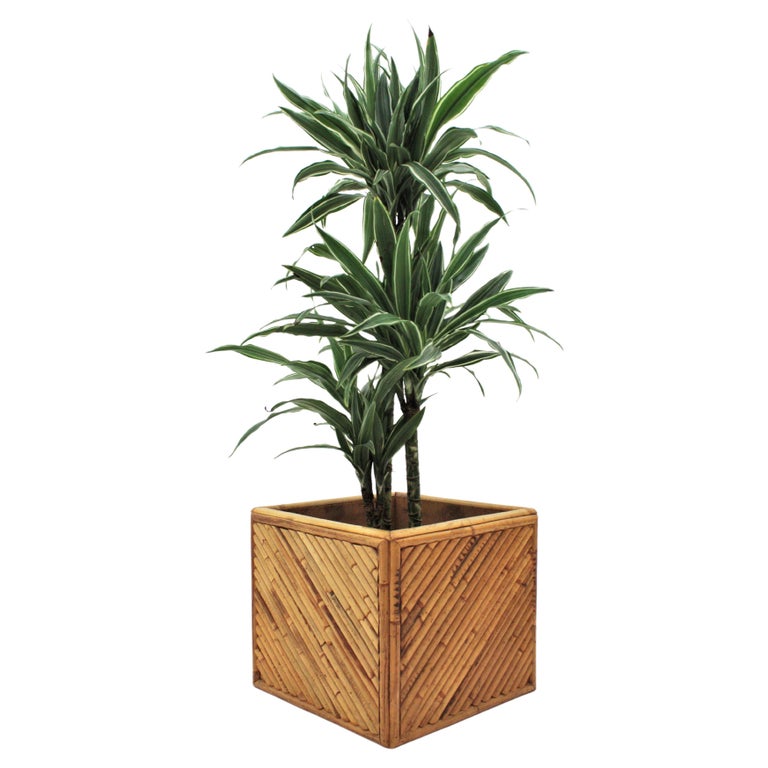 Split Reed Rattan Bamboo Gabriella Planter, 1970s For Sale at 1stDibs