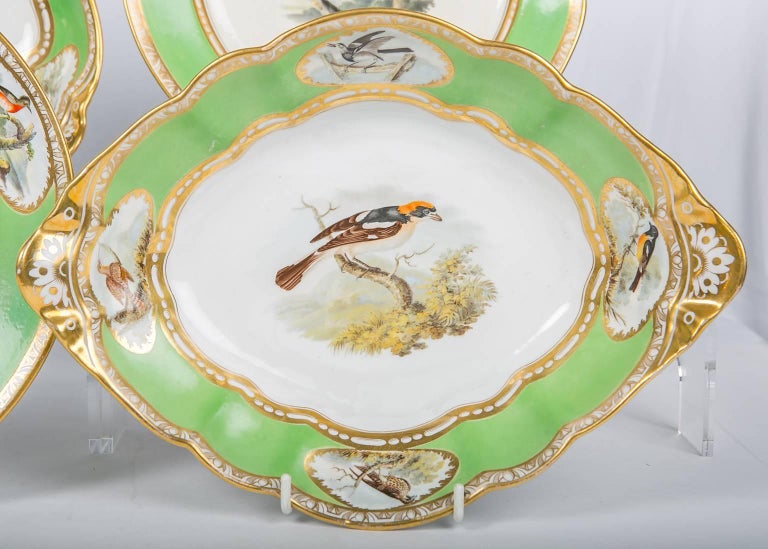 Spode Dishes with Hand-Painted Birds and Apple Green Borders at 1stDibs ...