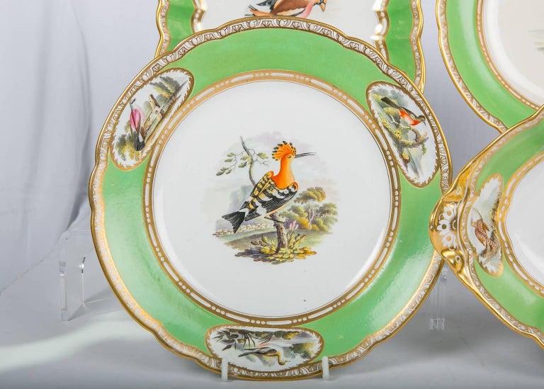 Spode Dishes with Hand-Painted Birds and Apple Green Borders at 1stDibs ...