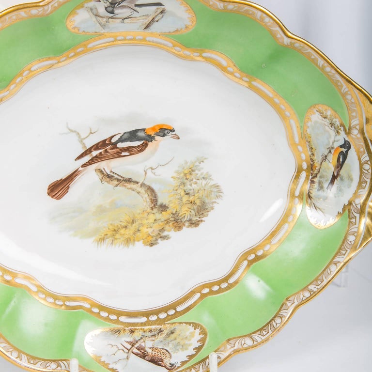 Spode Dishes with Hand-Painted Birds and Apple Green Borders at 1stDibs ...
