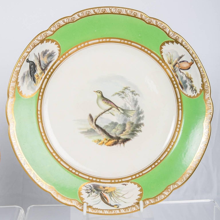 Spode Dishes with Hand-Painted Birds and Apple Green Borders at 1stDibs ...