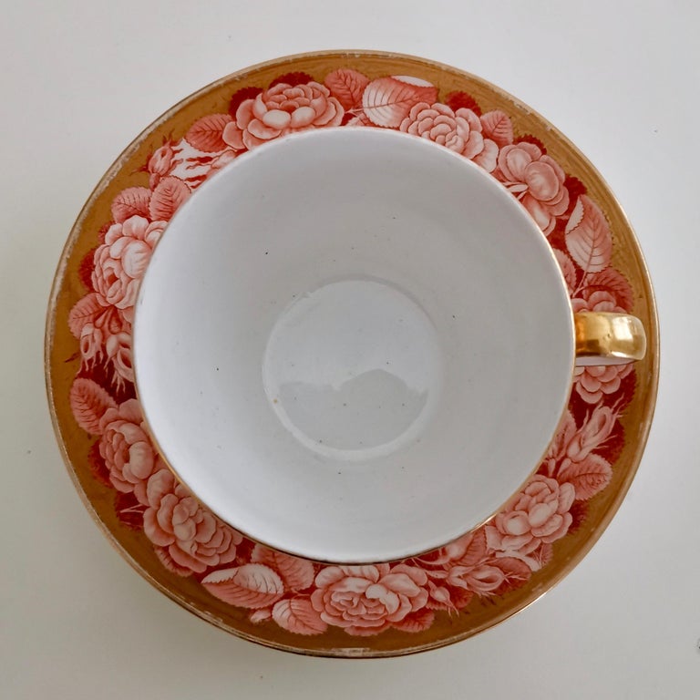 Spode Teacup Trio, Red Pluck and Dust Rose Border, Georgian, circa 1806 ...