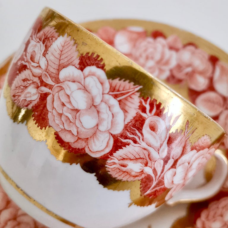 Spode Teacup Trio, Red Pluck and Dust Rose Border, Georgian, circa 1806 ...