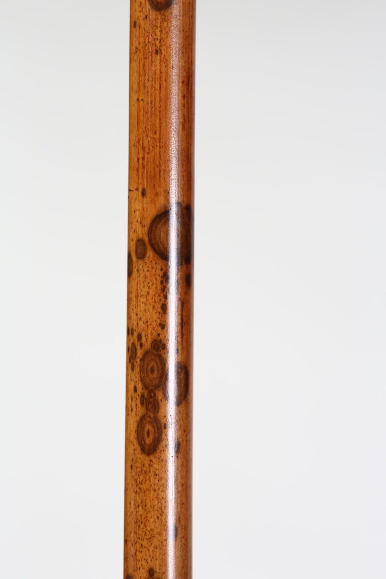 Spotted Bamboo Chinoiserie Display Cabinet/ Book Shelves For Sale at ...