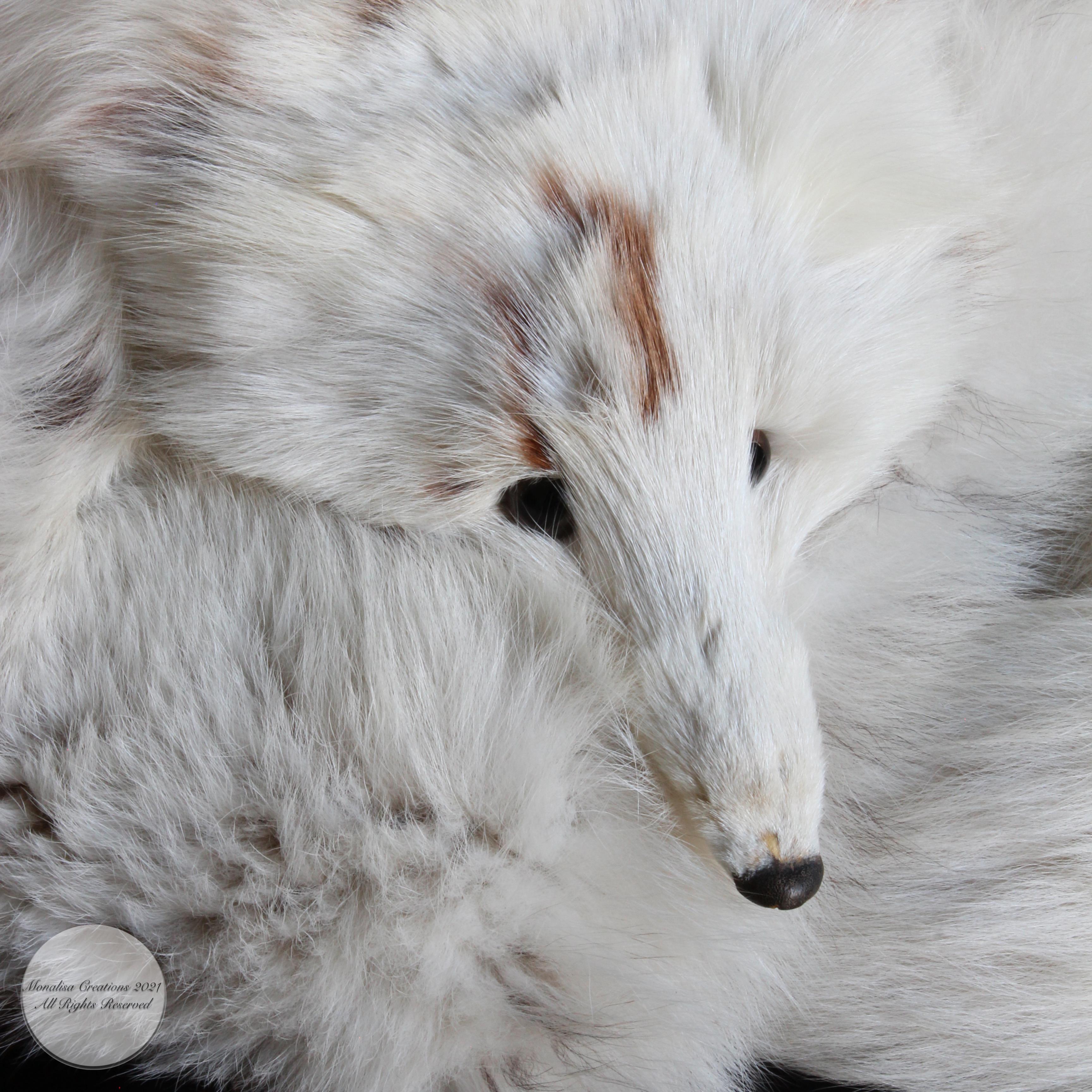 Spotted Fox Wrap Stole with Head and Tail Rare White Fur with Brown ...