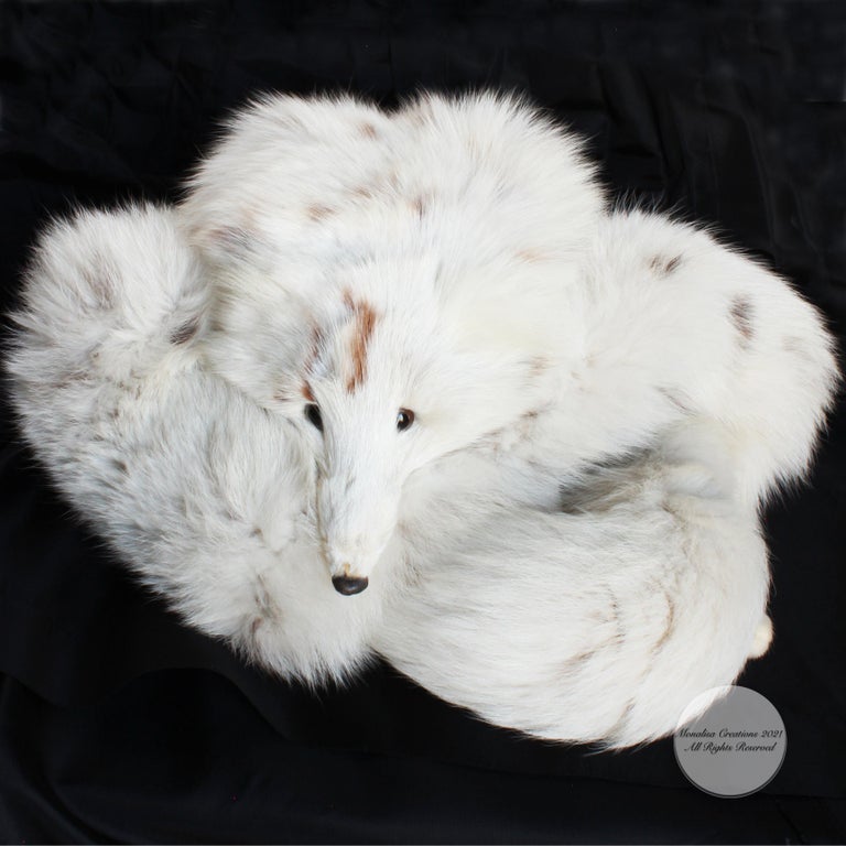 Spotted Fox Wrap Stole with Head and Tail Rare White Fur with Brown ...