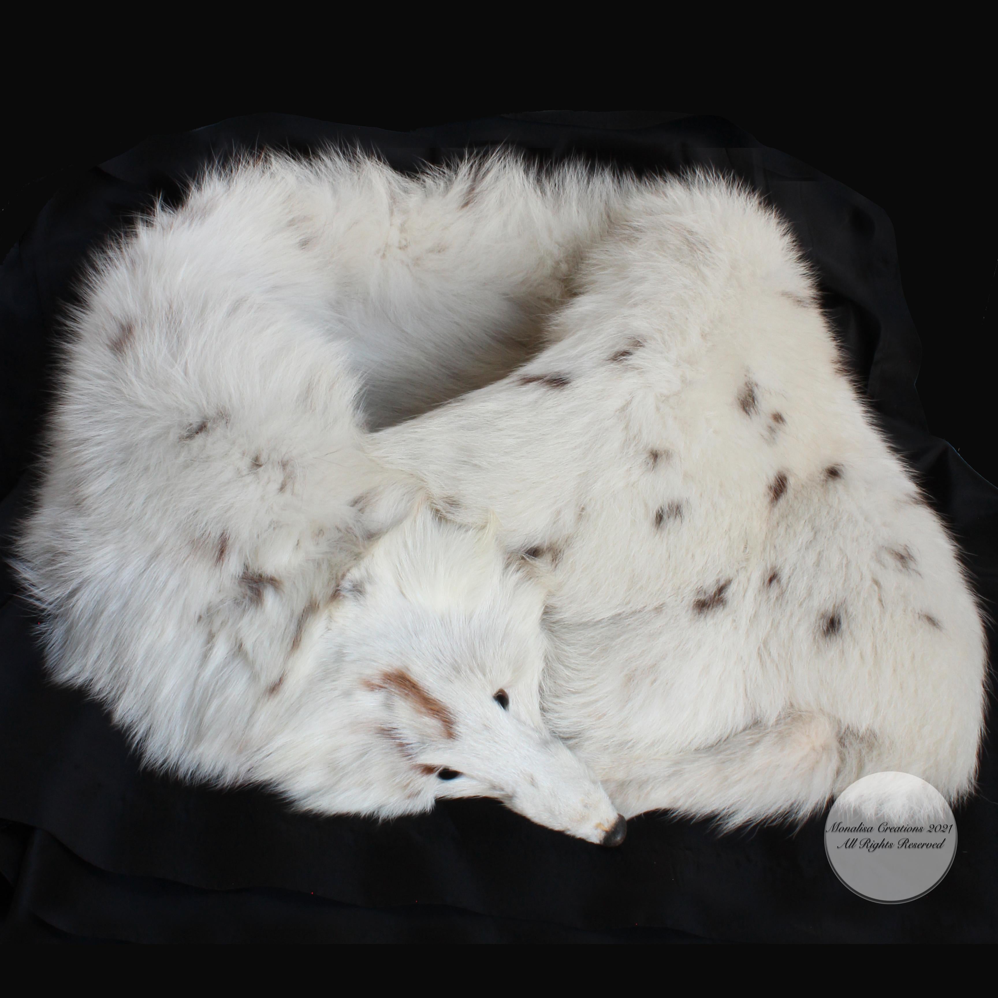 Spotted Fox Wrap Stole with Head and Tail Rare White Fur with Brown ...