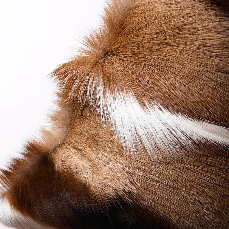 Springbok Pillow Lumbar 13.5 x 19" For Sale at 1stDibs