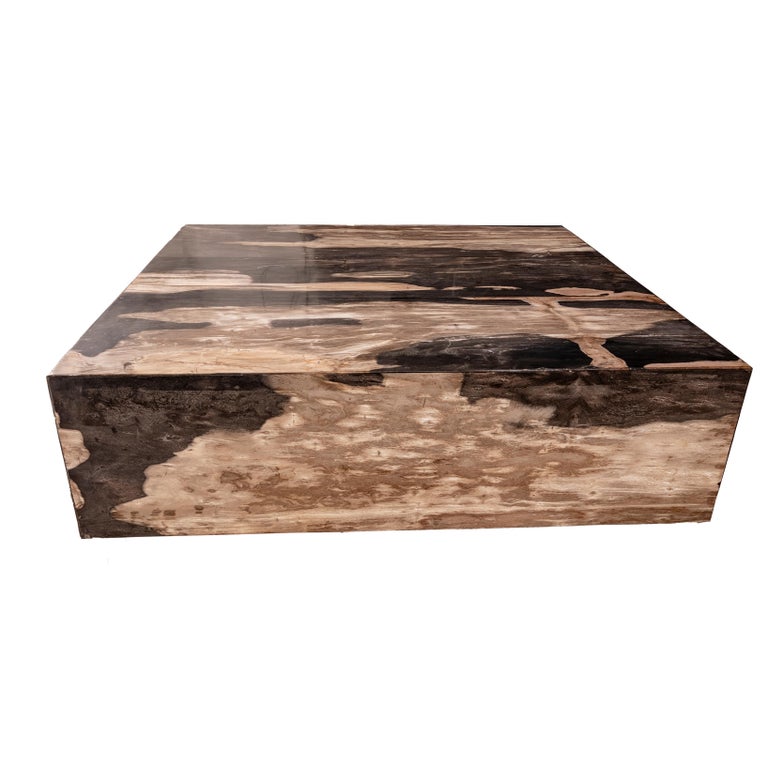 Square Center or Coffee Table, Petrified Wood at 1stDibs | square ...