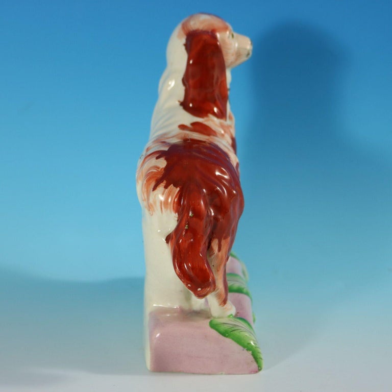 Staffordshire King Charles Spaniel on Leaf Base For Sale at 1stDibs