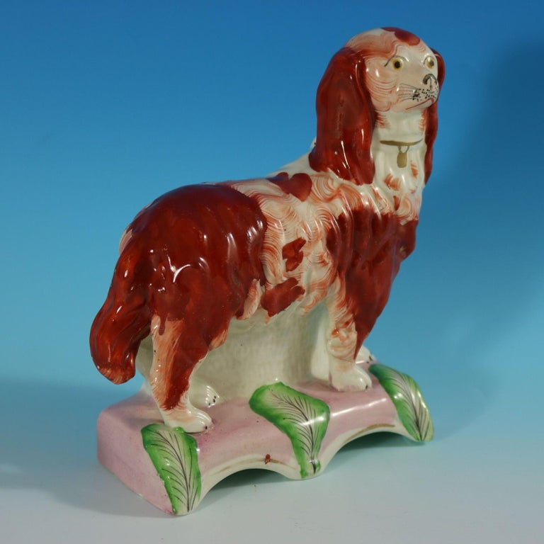 Staffordshire King Charles Spaniel on Leaf Base For Sale at 1stDibs