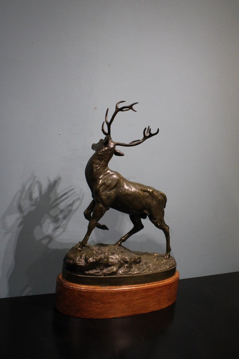 Stag Bronze by Vidal Louis at 1stDibs