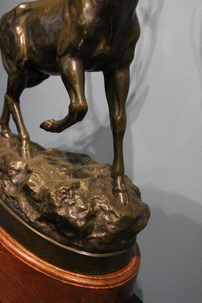Stag Bronze by Vidal Louis at 1stDibs