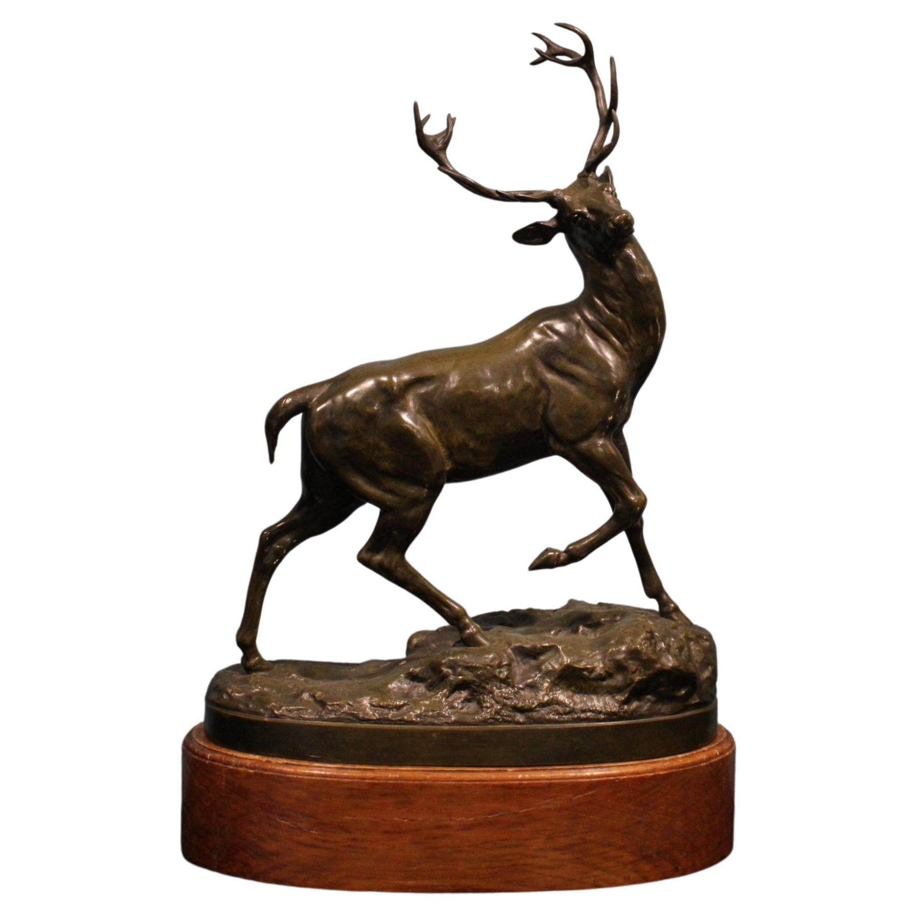 Stag Bronze by Vidal Louis at 1stDibs