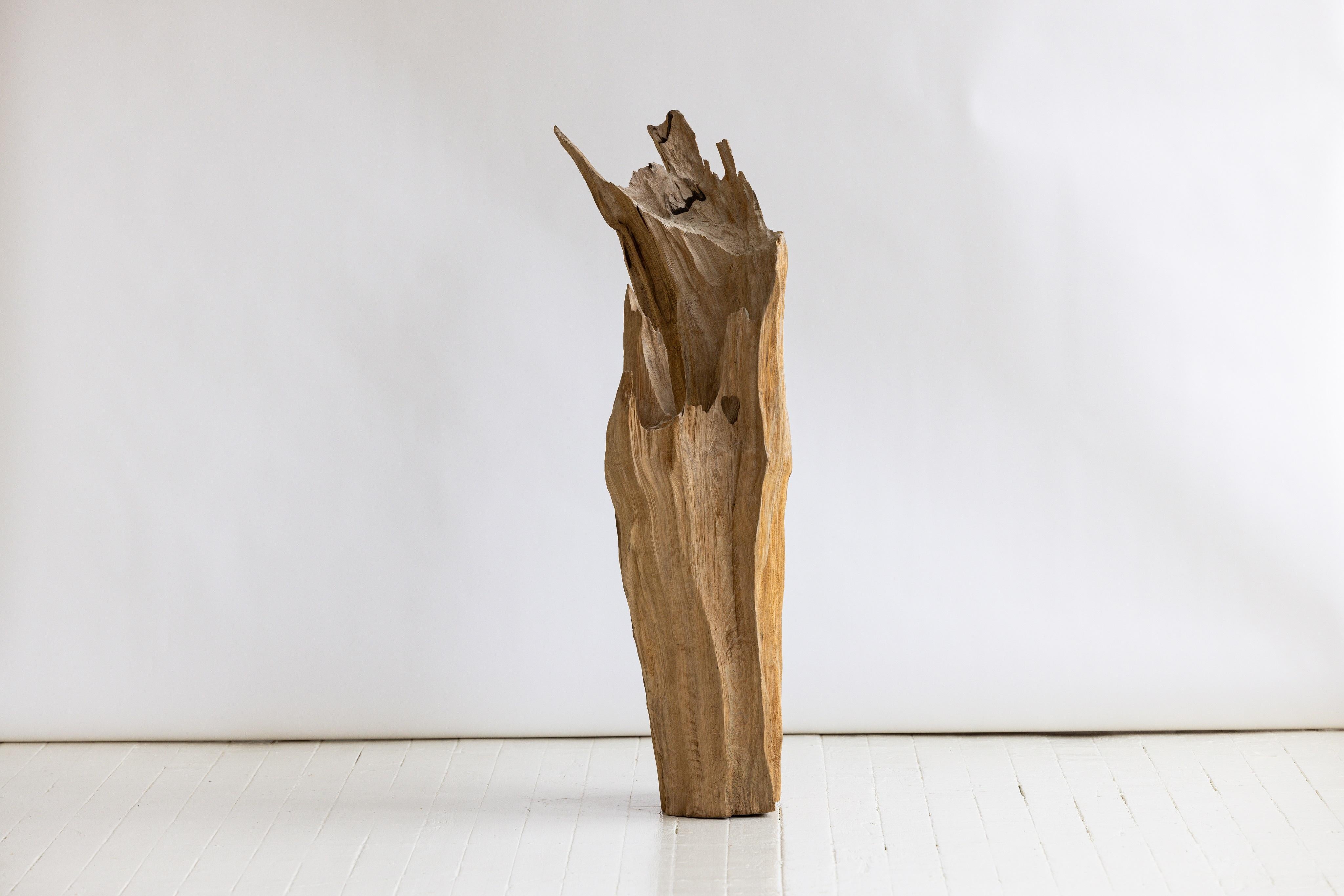 Standing Cypress Root Wood Sculpture For Sale at 1stDibs