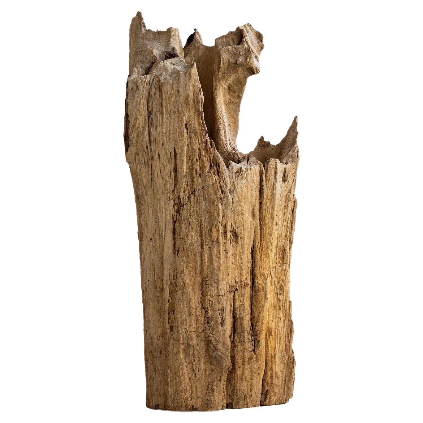 Standing Cypress Root Wood Sculpture For Sale at 1stDibs