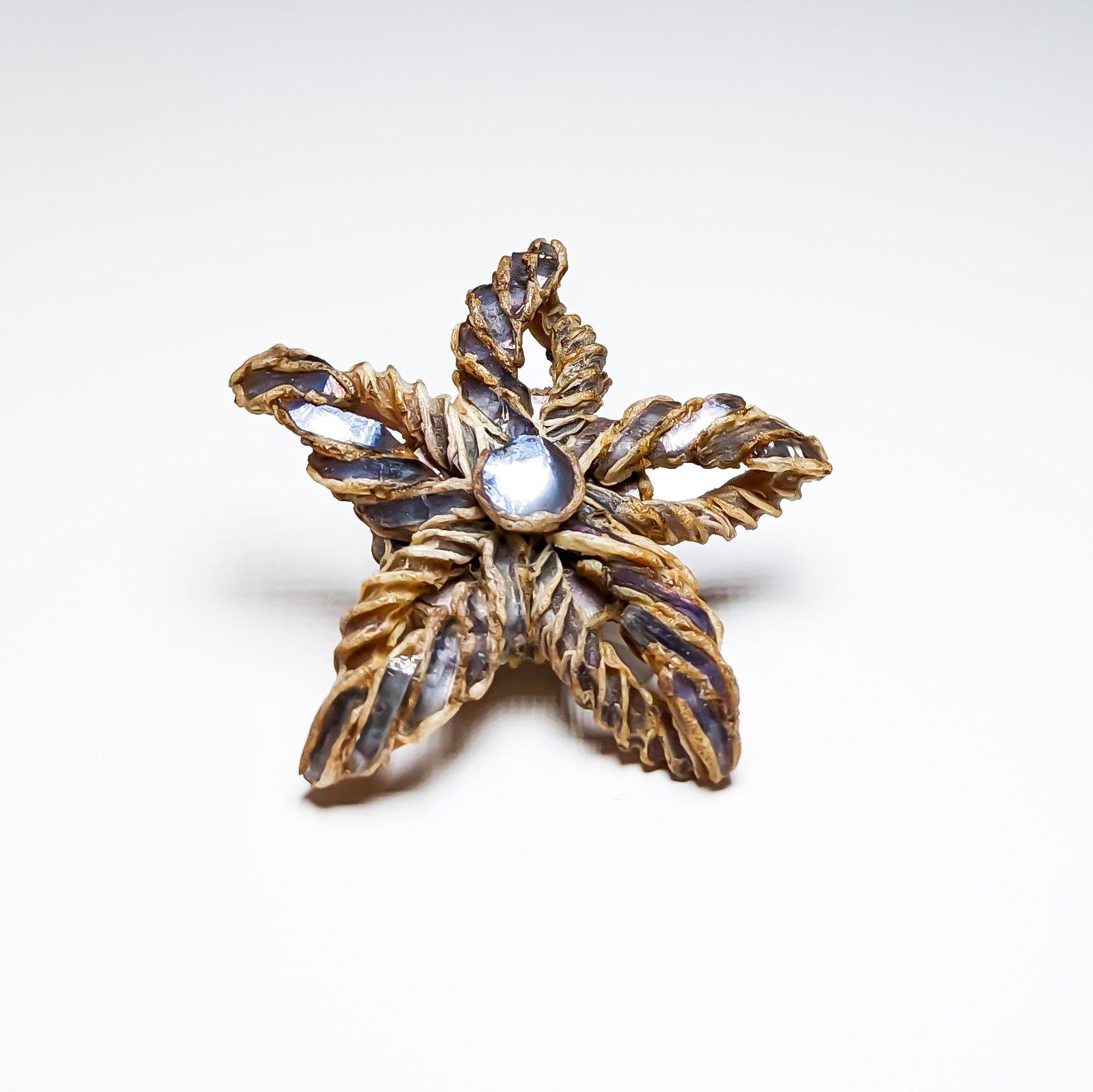 Star-Shaped Talosel Brooch By Line Vautrin, France / C.1960 For Sale at ...