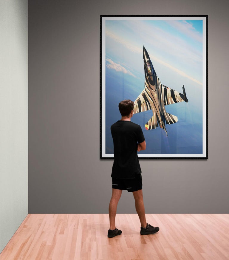 Stefan Darte - The Dark Falcon, Belgium 2018 - Limited Edition Fine Art ...
