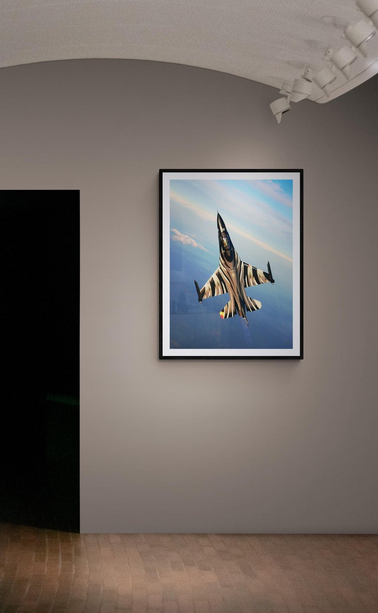 Stefan Darte - The Dark Falcon, Belgium 2018 - Limited Edition Fine Art ...