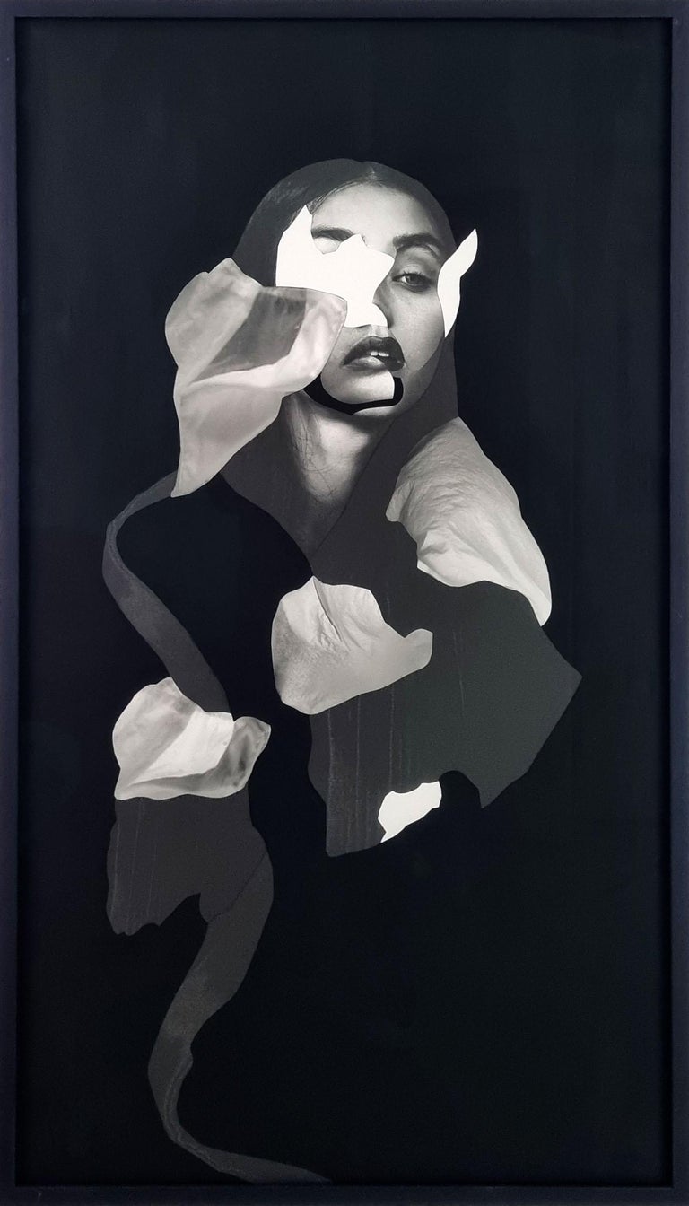 Stefan Gunnesch - Dissolution For Sale at 1stDibs